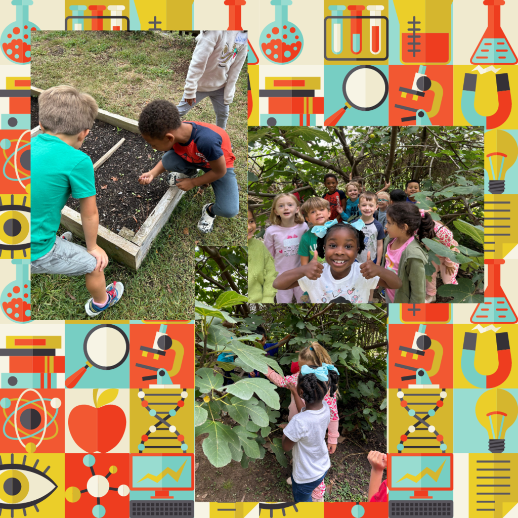 Live Feed | Maybeury Elementary School